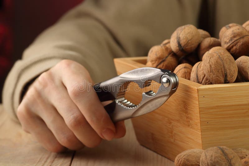 Nutcracker held in hand stock image. Image of seeds - 265571025