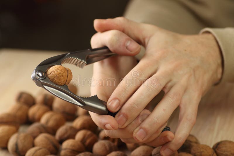 317 Nutcracker Hands Stock Photos - Free & Royalty-Free Stock Photos ...