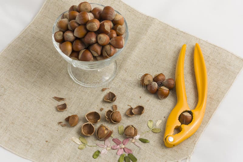 Nutcracker and nuts stock photo. Image of fruit, aromatic - 82754750
