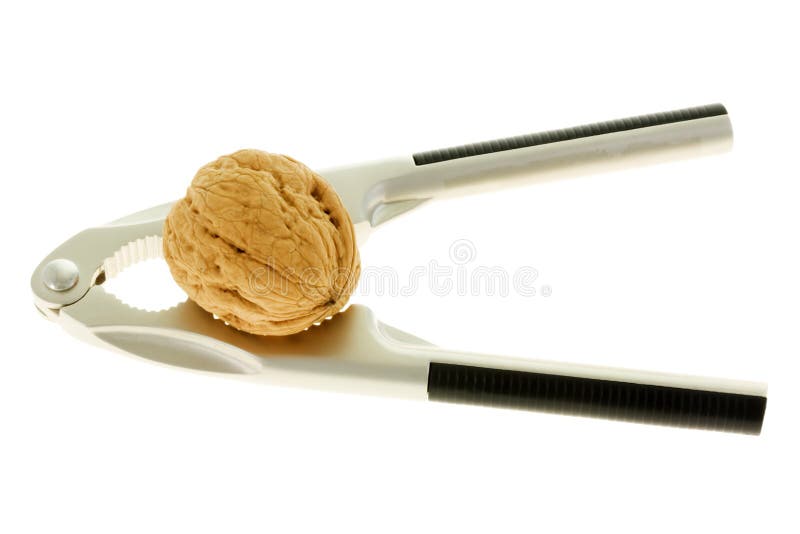 Hammer to crack nuts II stock photo. Image of force, crack - 4977178