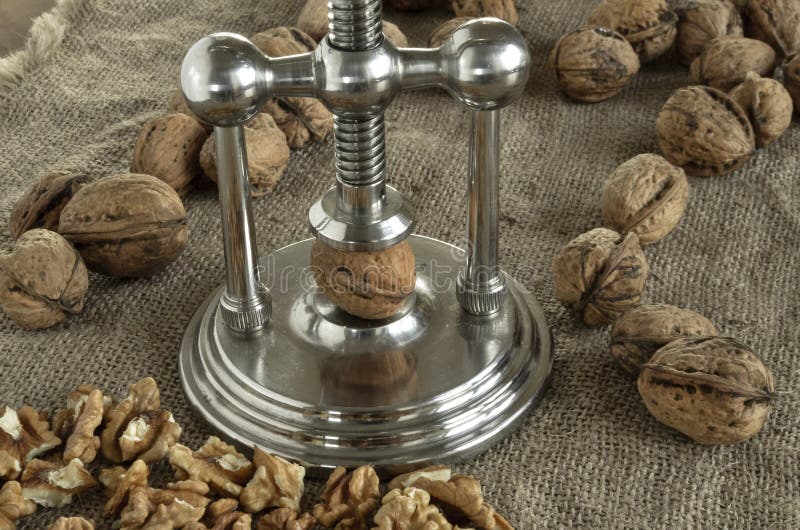Nutcracker walnuts stock image. Image of healthy, edible - 51019965