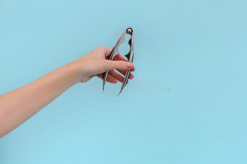 Nutcracker in Woman S Hand on Blue Background Stock Image - Image of ...