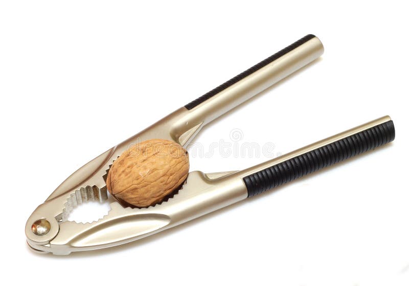 Nutcrackers stock photo. Image of kitchen, closeup, green - 12503474