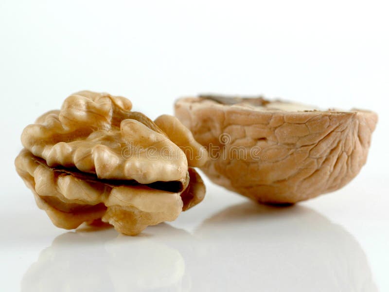 Nutmeat and nuts stock image. Image of healthy, fruit - 9745803
