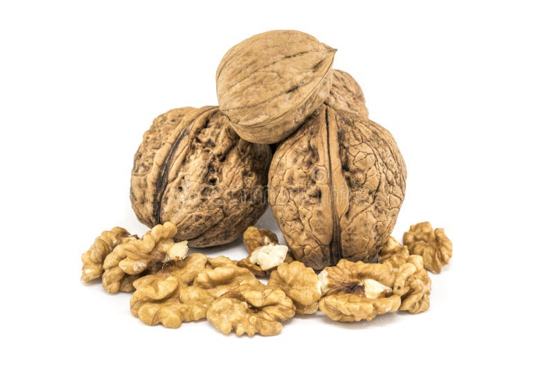 Nutmeat with Shell and White Bakcground Stock Image - Image of tasty ...