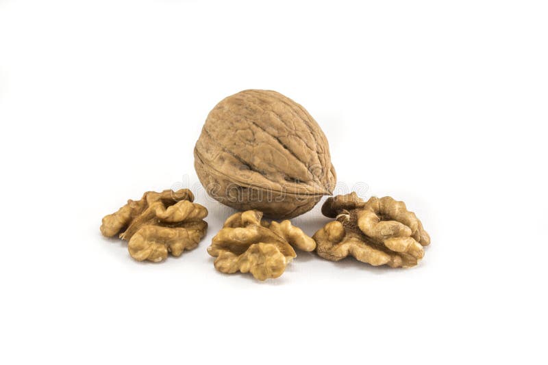 Nutmeat with Shell and White Bakcground Stock Image - Image of white ...