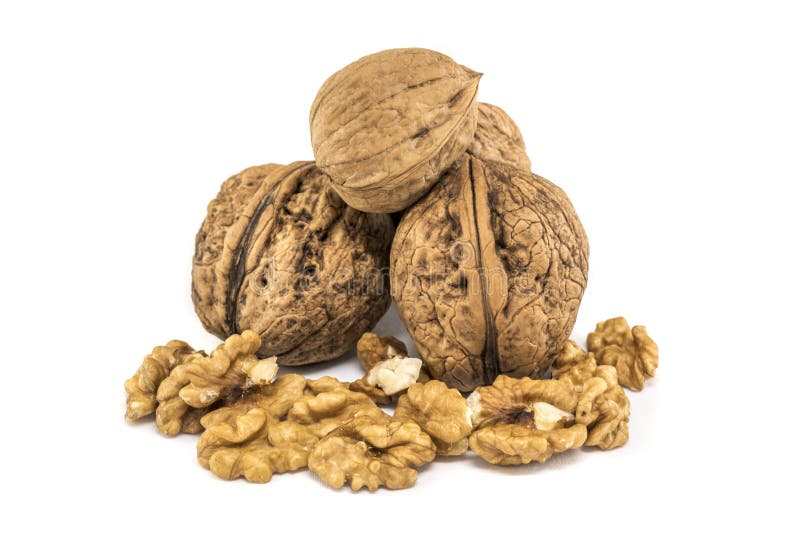 Nutmeat with Shell and White Bakcground Stock Photo - Image of food ...