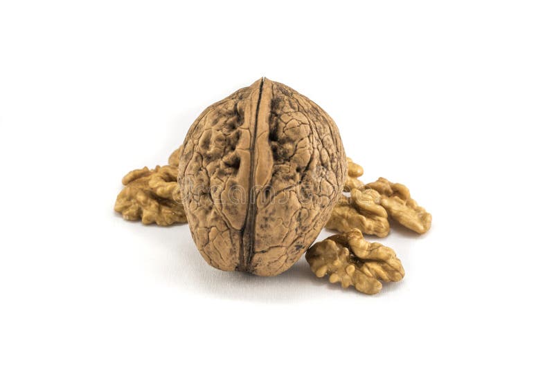 Nutmeat with Shell and White Bakcground Stock Photo - Image of healthy ...