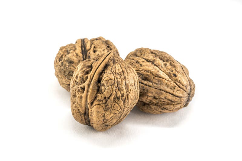 Nutmeat with Shell and White Bakcground Stock Image - Image of diet ...