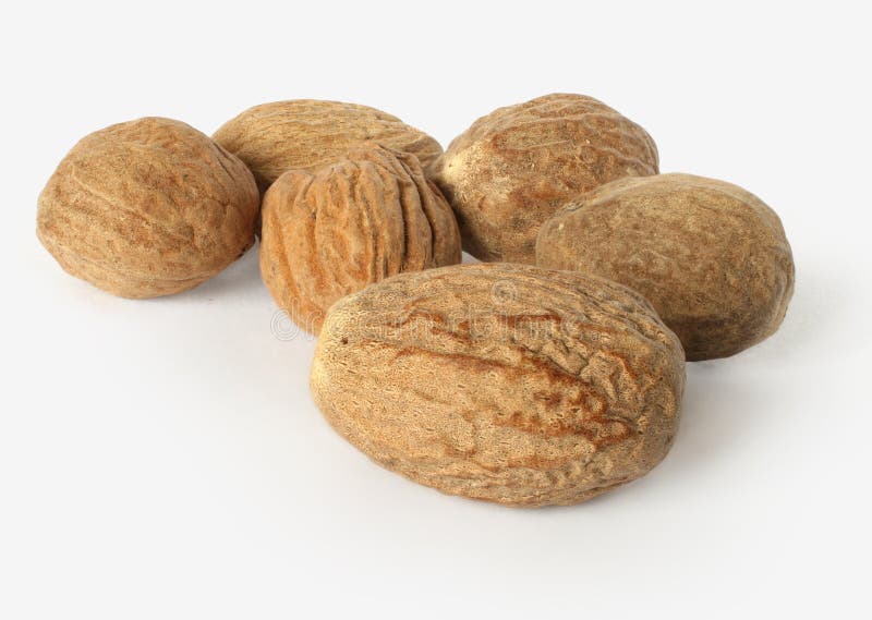 Nutmeg stock photo. Image of spice, brown, condiment - 10204128