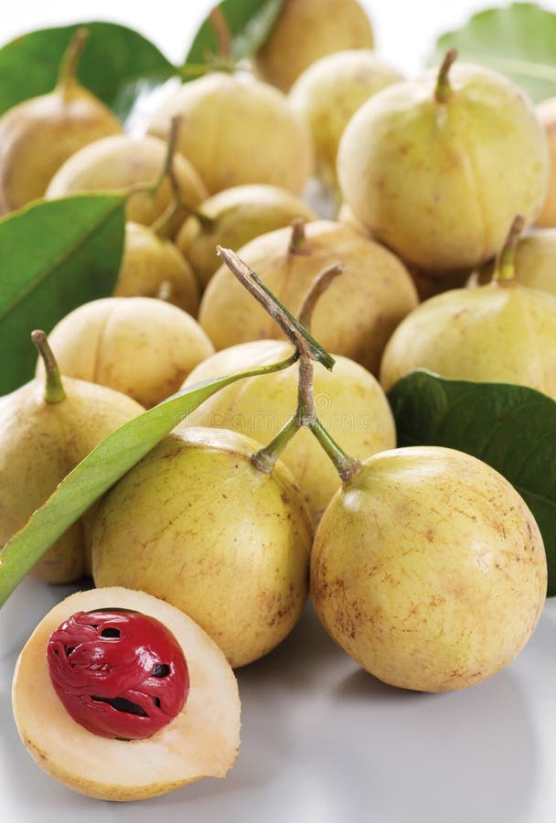Nutmeg stock image. Image of twig, profile, natural, ripe - 185749