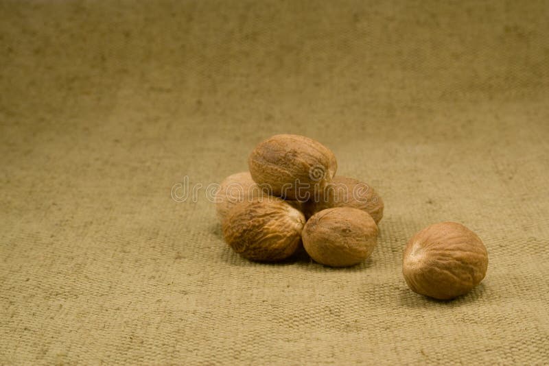 Nutmeg stock image. Image of burlap, bitter, edible, chef - 6650405