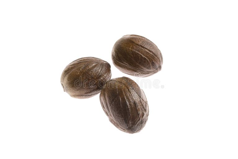 953 Nutmeg Shell Stock Photos - Free & Royalty-Free Stock Photos from ...