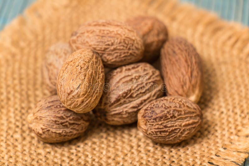 Nutmeg stock photo. Image of scented, greater, aroma - 61093526