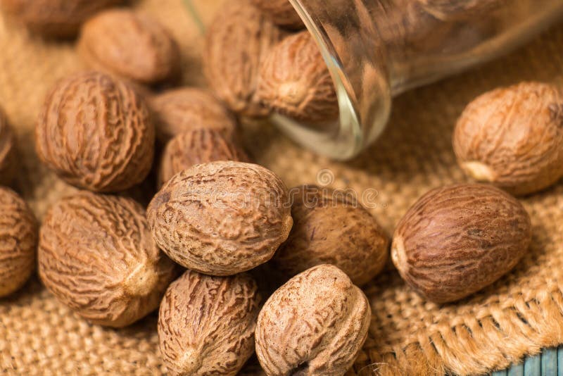 Nutmeg stock image. Image of nutmegs, objects, greater - 61094345