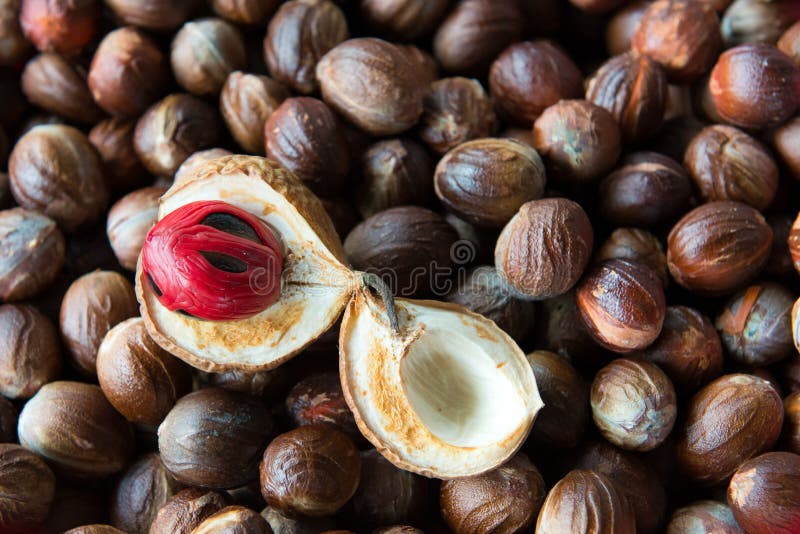 Nutmeg stock image. Image of brown, scent, flavoring - 53303153