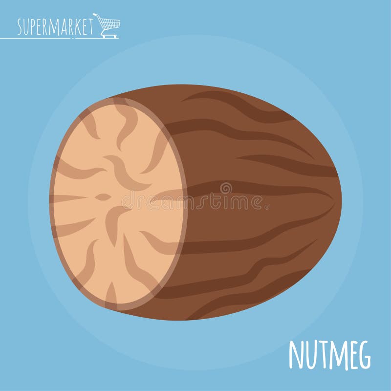 Nutmeg Flat Design Vector Icon. Stock Vector - Illustration of mace ...