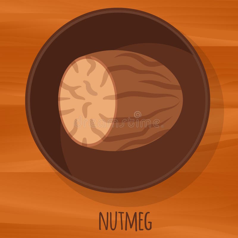 Nutmeg Flat Design Vector Icon. Stock Vector - Illustration of mace ...
