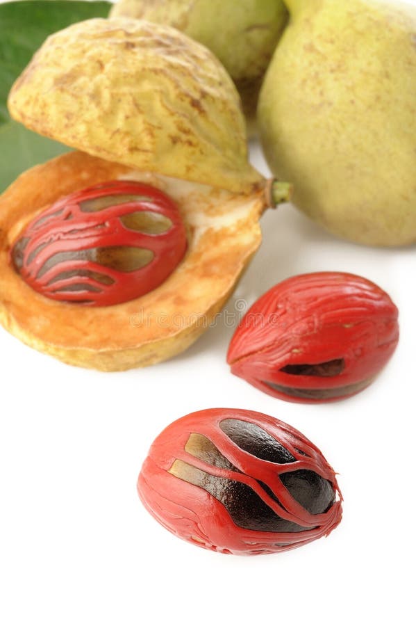 Nutmeg Fruit Cut Open stock image. Image of spice, hold - 48395793