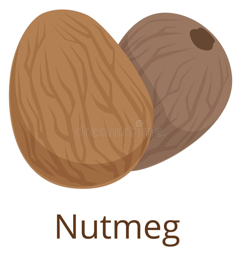 Mace Spice Stock Illustrations – 262 Mace Spice Stock Illustrations ...