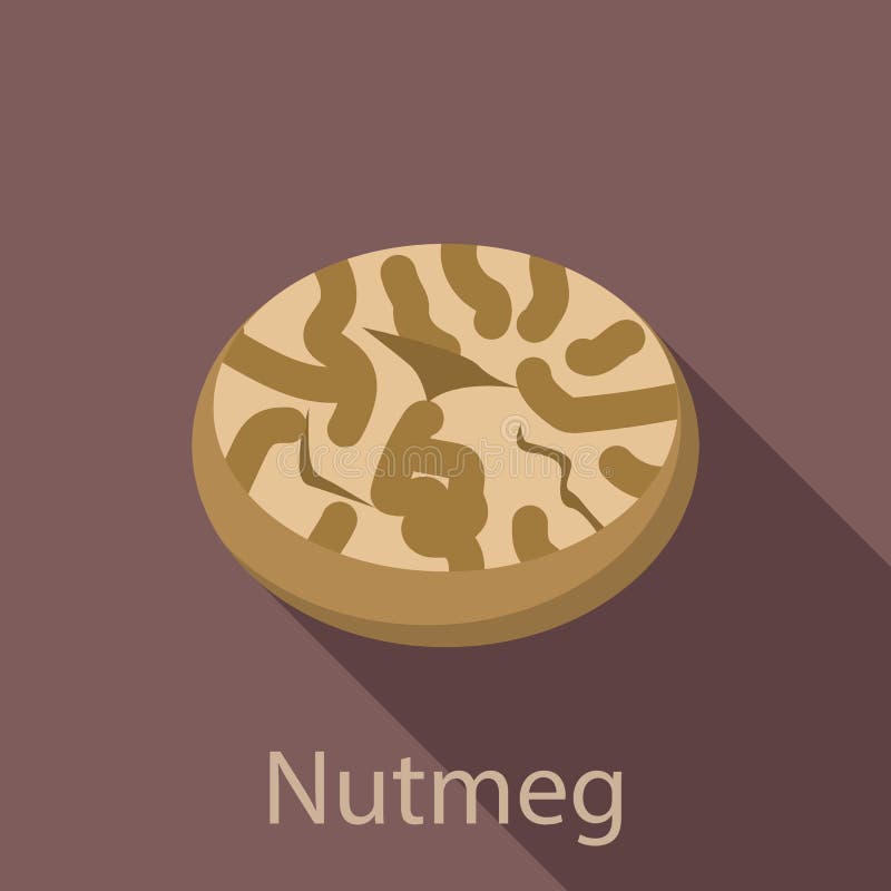 Nutmeg icon, flat style stock vector. Illustration of flat - 136617295