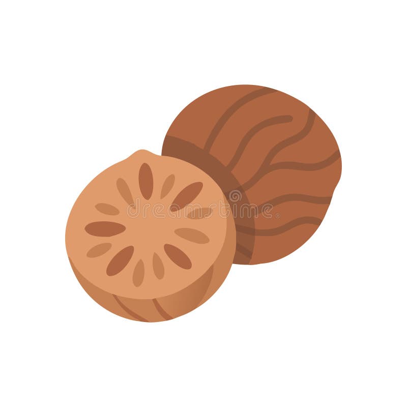 Nutmeg Icon for Spice Lovers Stock Illustration - Illustration of ...