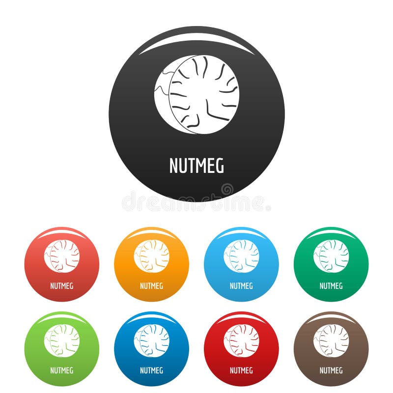 Nutmeg icons set color stock vector. Illustration of delicious - 140345917