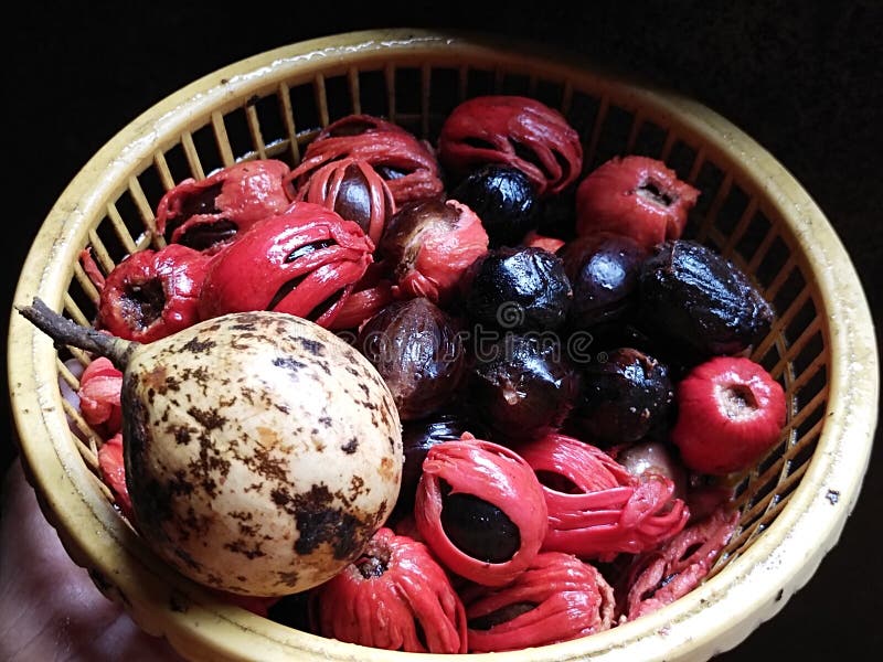 Jayfal Javitri & X28;Nutmeg& X29; Stock Image - Image of green, nutmeg ...