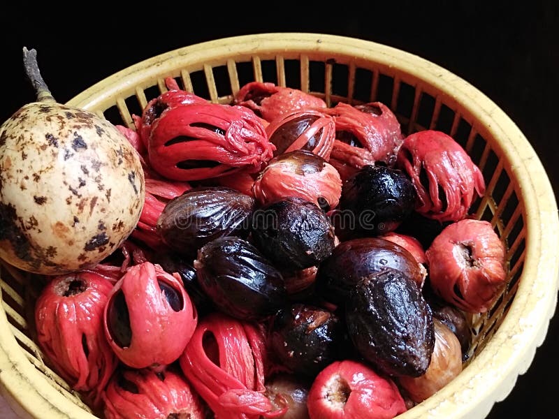 310 Javitri Stock Photos - Free & Royalty-Free Stock Photos from Dreamstime