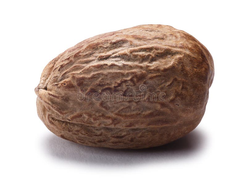 Nutmeg Mace Myristica Fragrans, Paths Stock Image - Image of mace ...