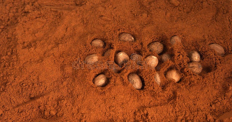 Nutmeg, Myristica Fragans, Nut Falling on Nutmeg Powder Stock Photo ...