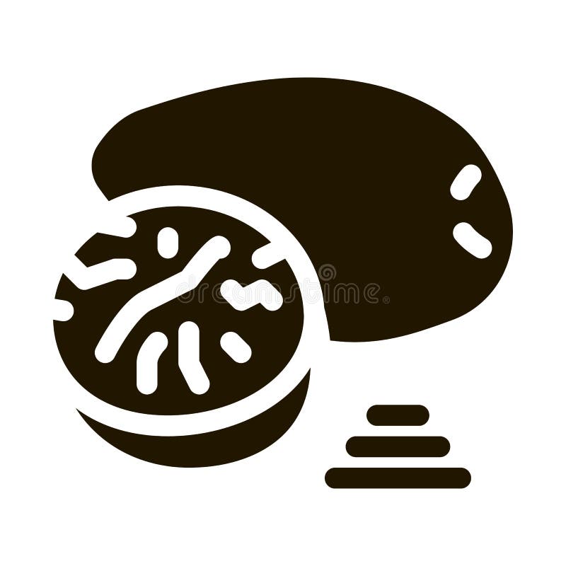 Nutmeg Nut Icon Vector Glyph Illustration Stock Vector - Illustration ...
