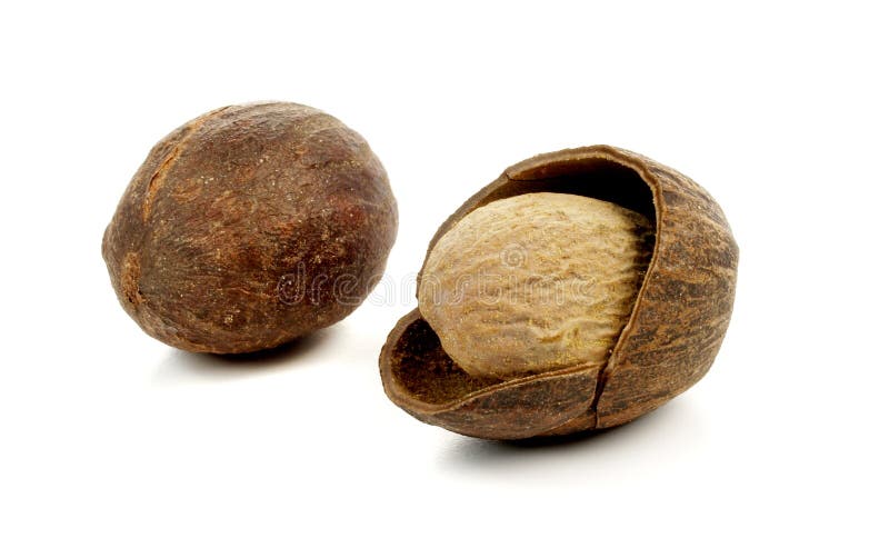 Nutmeg in Nutmeg Shell on White Background - Isolated Stock Photo ...
