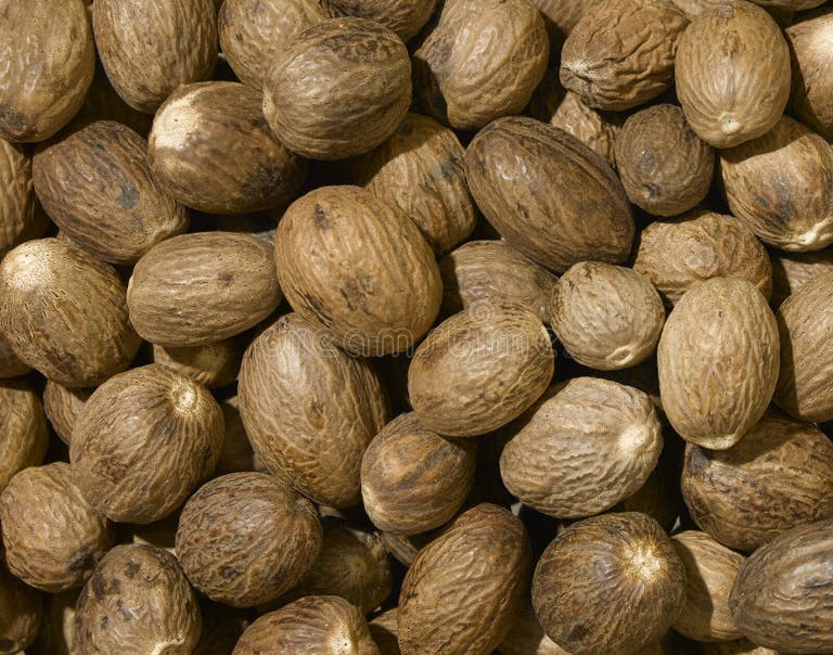 Nutmeg stock photo. Image of health, ingredient, brown - 44727908