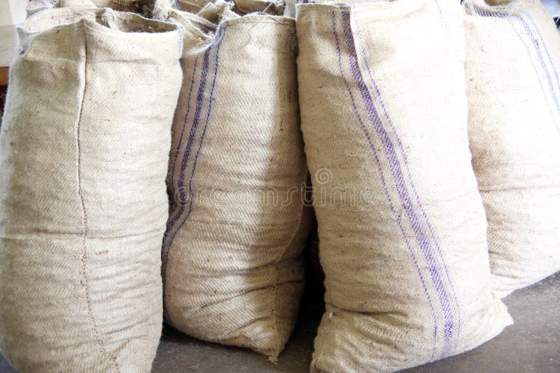 Nutmeg sacks storage. stock photo. Image of warehouse - 209756344