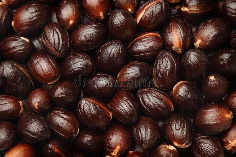 Nutmeg seeds stock image. Image of spice, fresh, gastronomic - 27296911
