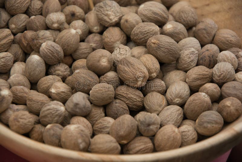 Nutmeg seed. Myristic tree stock image. Image of aroma - 172786741