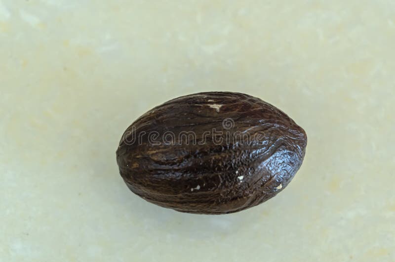 Nutmeg in Shell stock photo. Image of brown, muskerbaum - 202081666