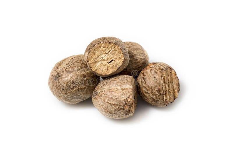 Nutmeg stock photo. Image of brown, season, nuts, seed - 30553766