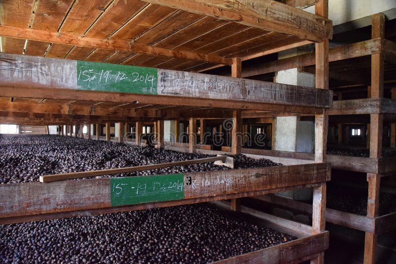 Nutmeg Racks Grenada Stock Photos - Free & Royalty-Free Stock Photos ...