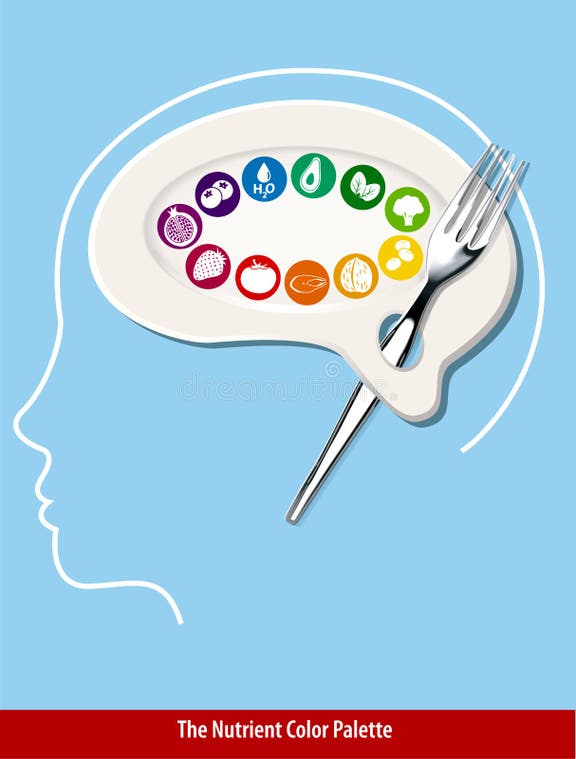 The Nutrient Color Palette Brain Shape Stock Vector - Illustration of ...