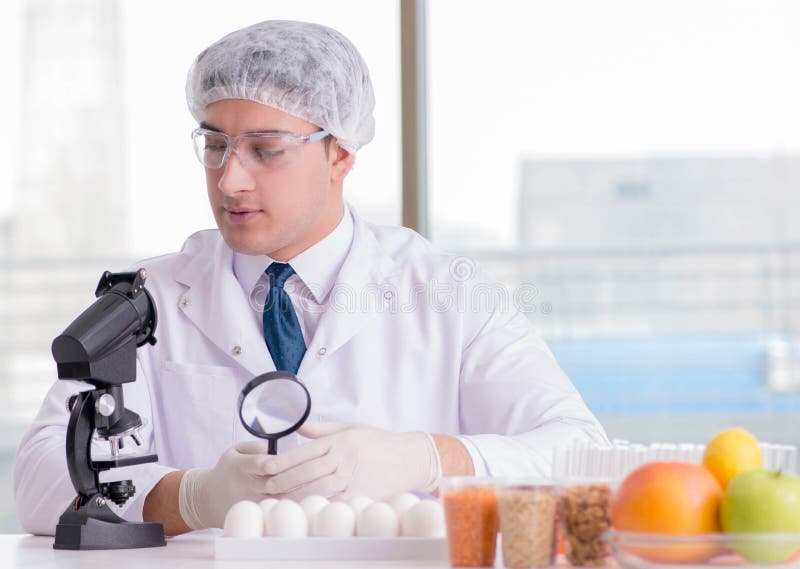 Nutrition Expert Testing Food Products in Lab Stock Image - Image of ...