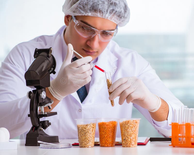 Nutrition Expert Testing Food Products in Lab Stock Photo - Image of ...