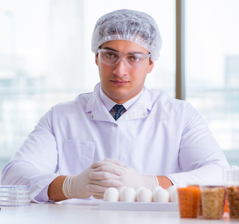 Nutrition Expert Testing Food Products in Lab Stock Image - Image of ...