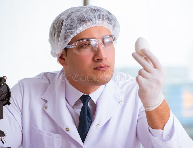 Nutrition Expert Testing Food Products in Lab Stock Photo - Image of ...