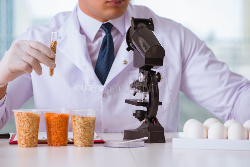 The Nutrition Expert Testing Food Products in Lab Stock Image - Image ...