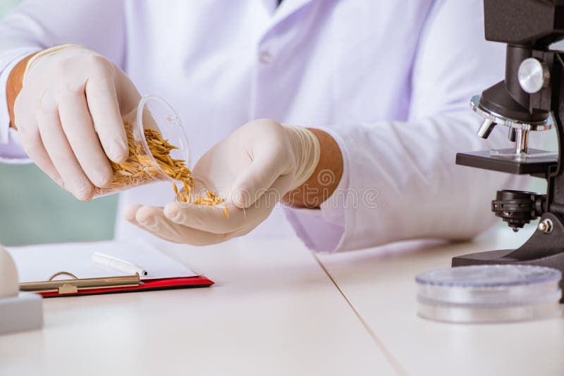 The Nutrition Expert Testing Food Products in Lab Stock Image - Image ...