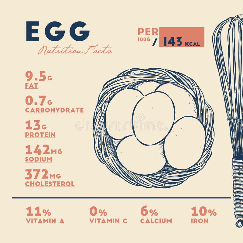 Nutrition Fact of Fruit. Hand Drawn Vector Illustration Stock Vector ...