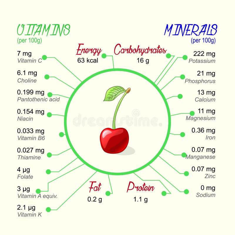 Nutritional Value of Cherry Stock Vector - Illustration of packaging ...