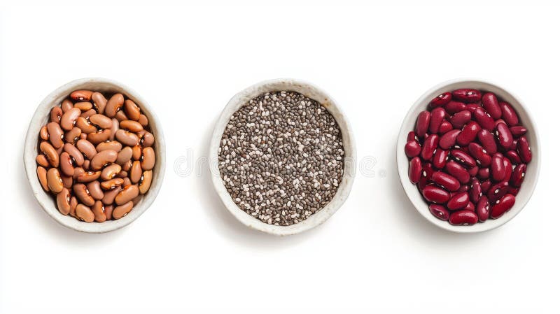 Nutritious Chia Seeds with Kidney and Pinto Beans in a Burrito Concept ...